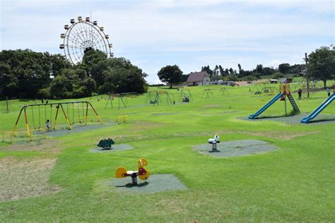 東京ドイツ村行ってきました お花も綺麗で子供遊びエリア盛りだくさん リリのhappyログ