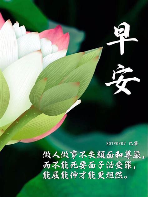 我們人屈一下身彎一下腰低一下頭其實不傷大雅只有自己做人做事不失顏面和尊嚴而不能死要面子活受 痞客邦 大雅 面子 只有