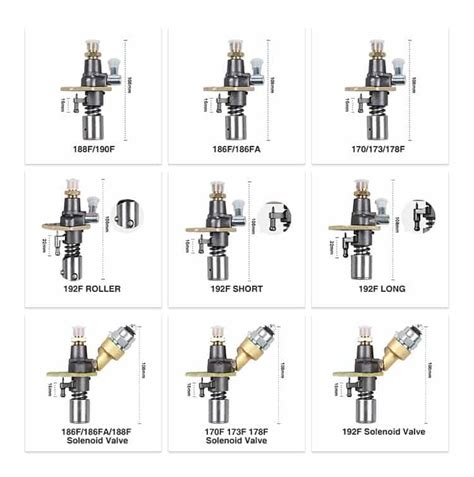 Fuel Injection Pump With Solenoid Manufacturer Bison