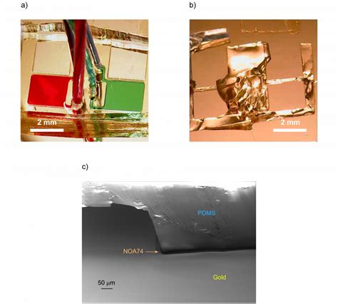 A New Technique For PDMS Bonding To Plastics And Metals Is Published NeuroSens
