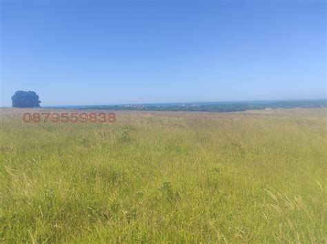 Продава ЗЕМЕДЕЛСКА ЗЕМЯ гр Ахтопол област Бургас в Земеделска земя в гр Ахтопол Id43106070