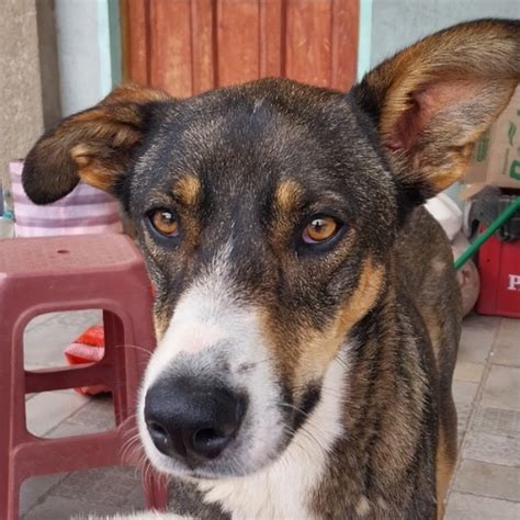 Soy Princesa Y Capibara Youtube