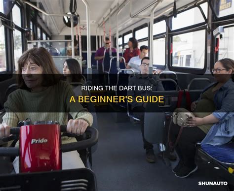 Riding The Dart Bus A Beginners Guide Shunauto
