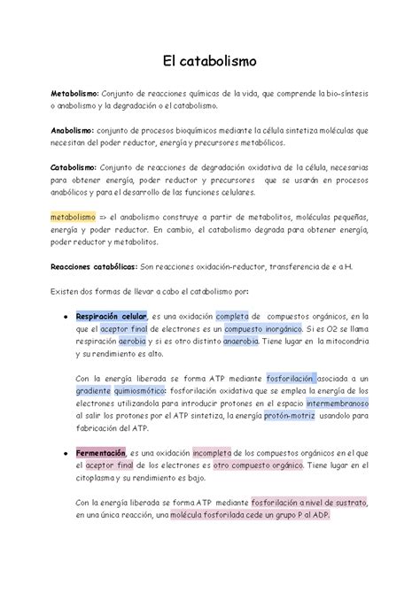 Catabolismo Anabolismo Conjunto De Procesos Bioquímicos Mediante La