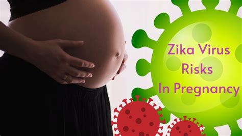 Exclusive How To Know About Zika Virus Risks In Pregnancy And What Can
