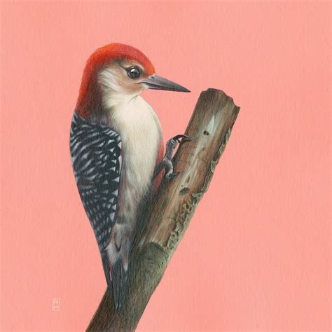 Creative UCSP Background Design For A Unique Project Presentation