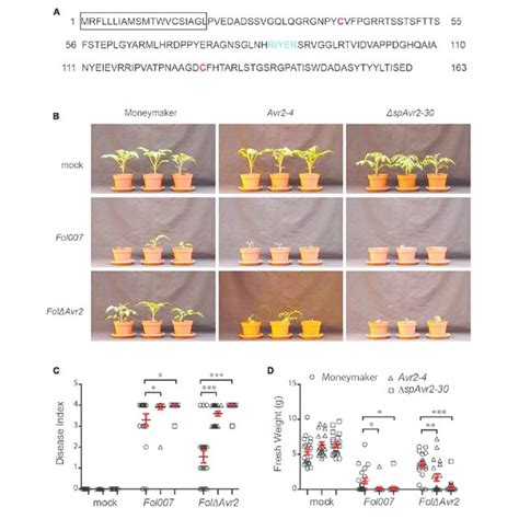 Lisong Ma Professor Ph D College Of Horticulture Research Profile