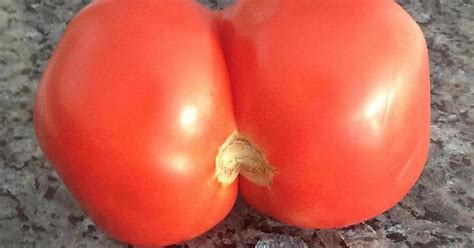 Tomato Imgur
