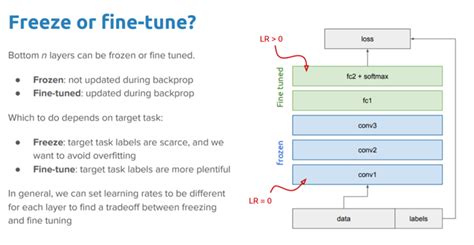 Deep Learning 전이 학습 Transfer Learning 3