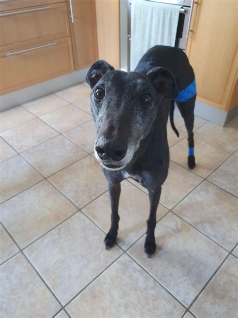 Cone Recommendations Scrolller