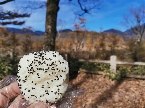 奥日光戦場ヶ原ハイキング 湯元温泉温泉寺 のらりとひなびた温泉へ