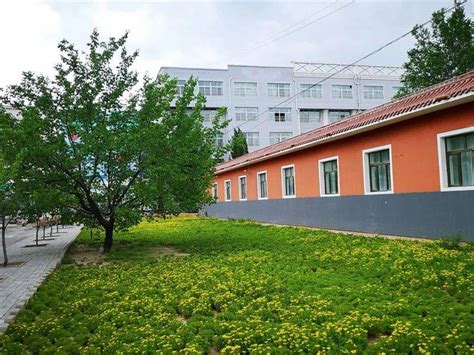 双减”多元拓展篇】东胜区第八小学“135融合育人和雅课程”之劳艺与审美社团风采展文化国画线条