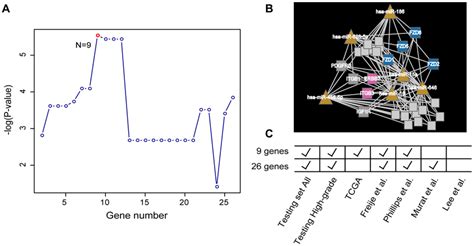The Survival Prediction Performance Of The 9 Gene Signature From
