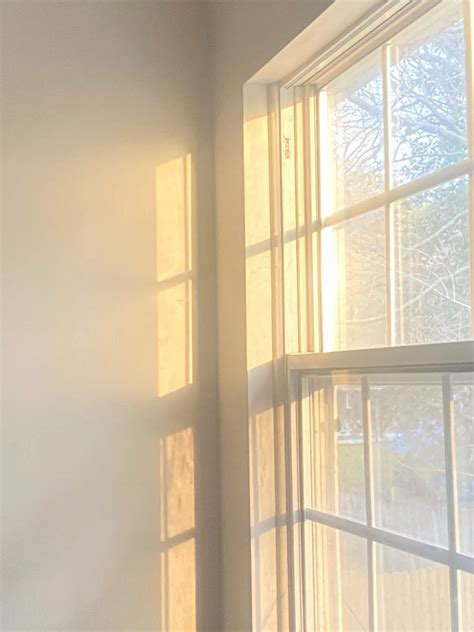 Sunlight Streaming Through A Window Window Lighting Natural Light