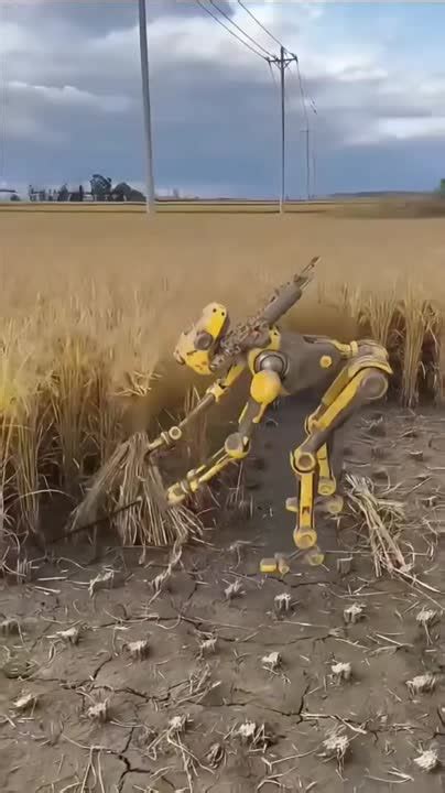 Sibongile Mavimbela On Linkedin The Future Is Here