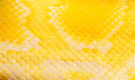 Premium Photo Golden Python Scale Textureclose Up View Of Golden