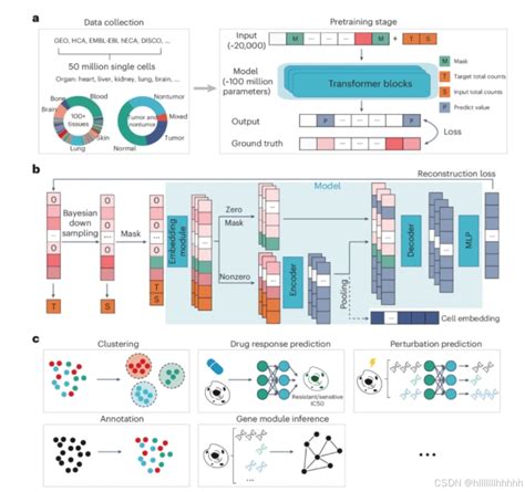 文献01 单细胞多组学 苑秋月 Csdn博客