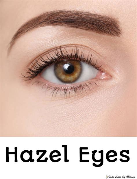 Hazel Eyes What Causes Hazel Eyes And Who Has Them Hazel Eyes