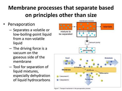 Membraneseparationspptx