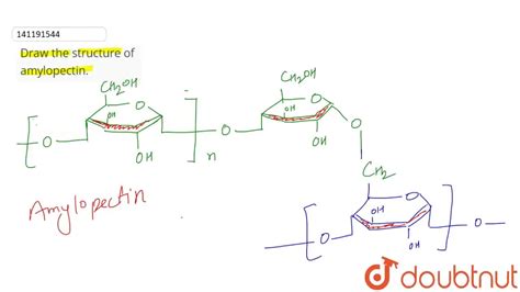 Draw The Structure Of Amylopectin