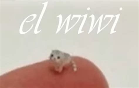 Ta Chikito Meme Subido Por Atlasx Memedroid