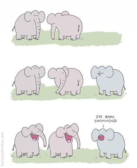 Small Trunk Myconfinedspace