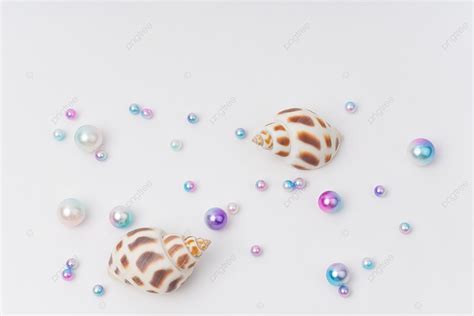 아름다운 조개 진주 사진 조가비 조개 껍데기 진주 원료 배경 일러스트 및 사진 무료 다운로드 Pngtree