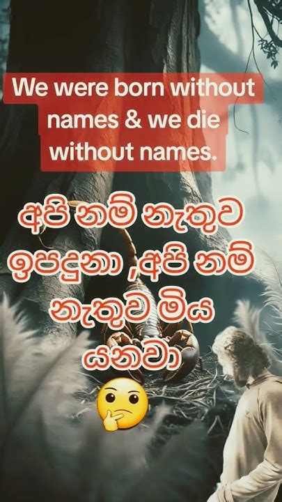 නම නැතුව ඉපදී නම නැතුව මිය යමු 👽😱💀🏃🌹 Samanthathilakarathne Youtube