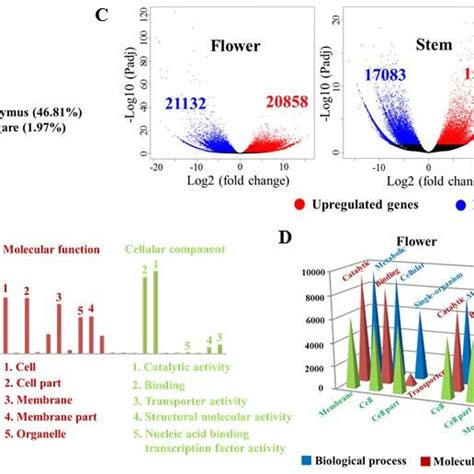 Overview Of De Novo Transcriptomics Analysis Of Artemisia Rupestris L Download Scientific