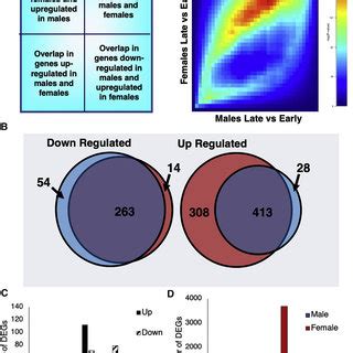 Sex Differences In Gene Expression Patterns During Development A Download Scientific Diagram