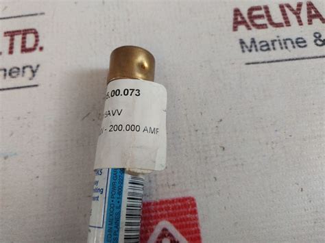 Littelfuse Flsr 15 Time Delay Current Limiting Dual Element Fuse 600v Aeliya Marine