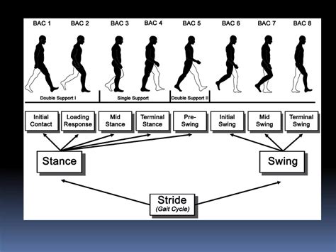 Gait Abnormal Gait By Surya Likhita Ppt