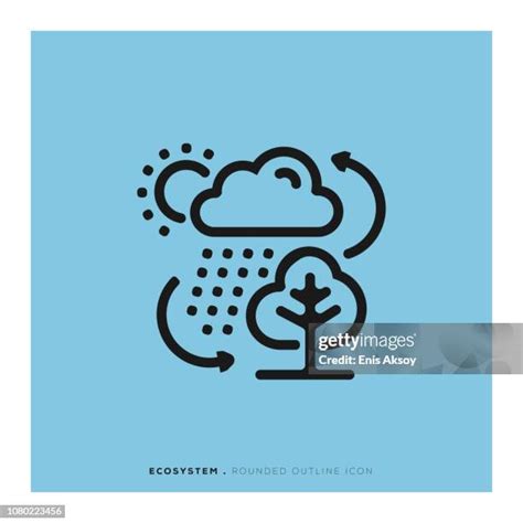 85 Data Ecosystem Icon High Res Illustrations Getty Images