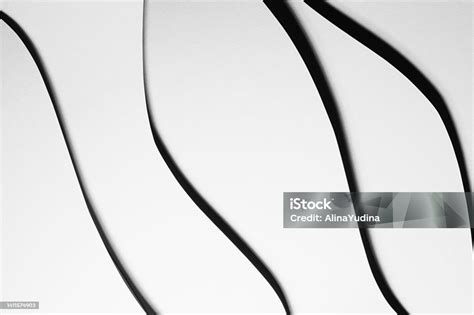 하얀 추상적 인 기하학적 배경과 검은 그림자가있는 하드 라이트에서 치솟는 수직 곡선 파도 패턴과 우아한 심플한 현대적인 미니멀 스타일 탑 뷰의 단색 세련된 배경 성공에 대한