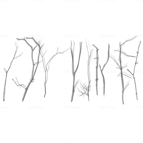 Spruce Twigs 3d Model
