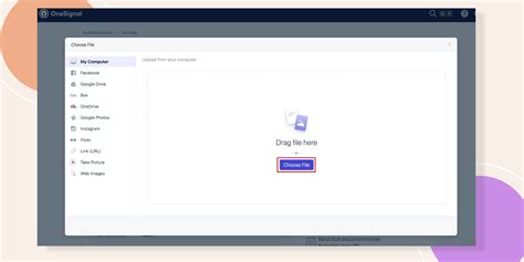 Onesignal Knowledge Base Buddyboss Resources