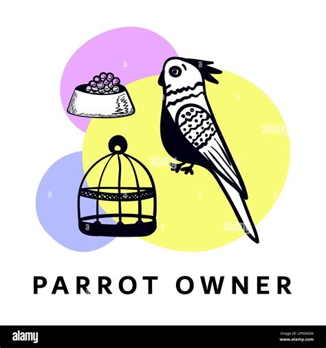 Funny Parrot Stock Vector Images Alamy