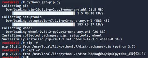 新版kali（2019 4）python3安装pip3 kali2019 4 python3 csdn博客