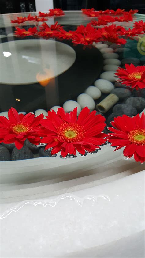 기글 하드웨어 사진 게시판 베트남 다녀왔어요 2 3