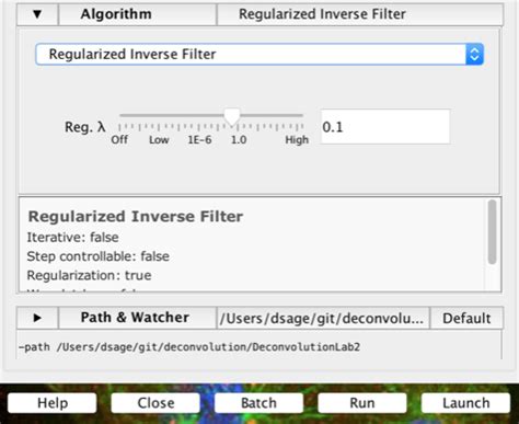 D Deconvolution Microscopy