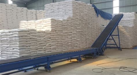 Băng Tải Lúa Cấu Tạo ưu điểm And ứng Dụng