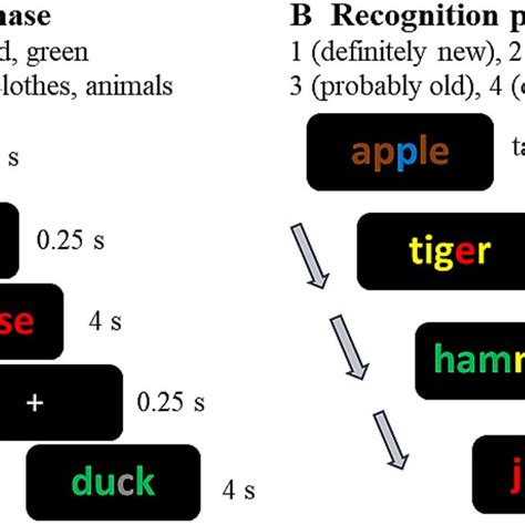 Diagram Of The Procedure In Experiment 1 During The Encoding Phase