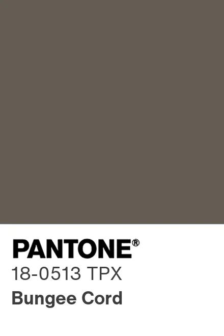 Pantone® Usa Pantone® 18 0513 Tpg Find A Pantone Color Quick