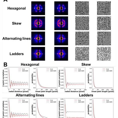 Representative Characterization Data Of Four Different Morphologies Download Scientific Diagram