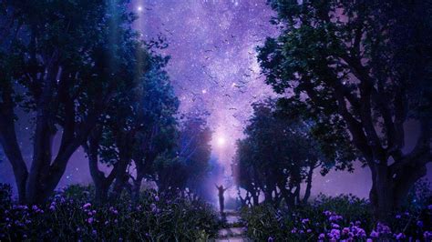 Anime Night Forest Wallpapers Wallpaper Cave