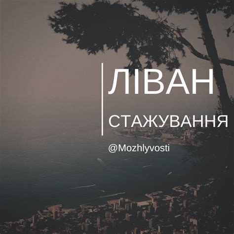 📍Оплачуване стажування в Бейруті можливОсті