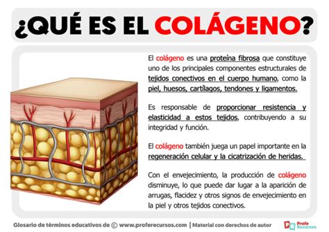 Colágeno Tipo 2 Definición Y Explicaciones Hr Und Datenschutz