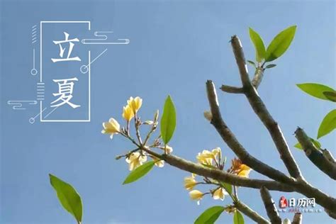 立夏的谚语 寓意 诗词 大山谷图库
