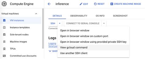 Deploy Computer Vision Models With Roboflow Inference And Gcp