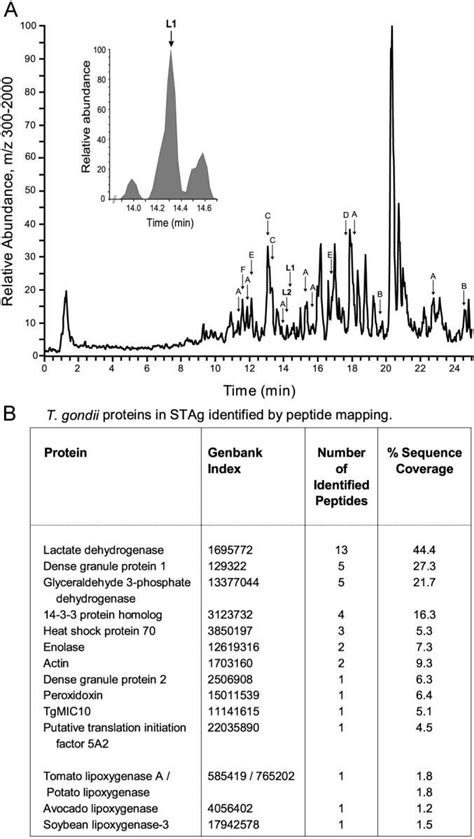 lc ms ms analysis of tryptic peptides from t gondii protein extract